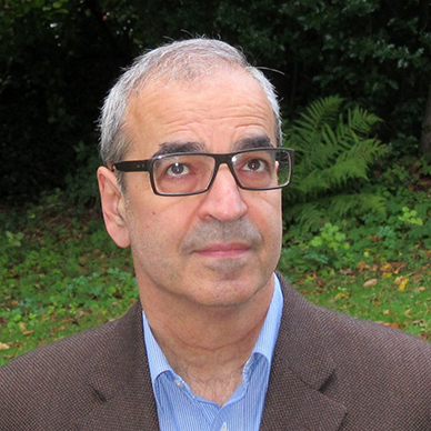 Personal | Utrikespolitiska institutet